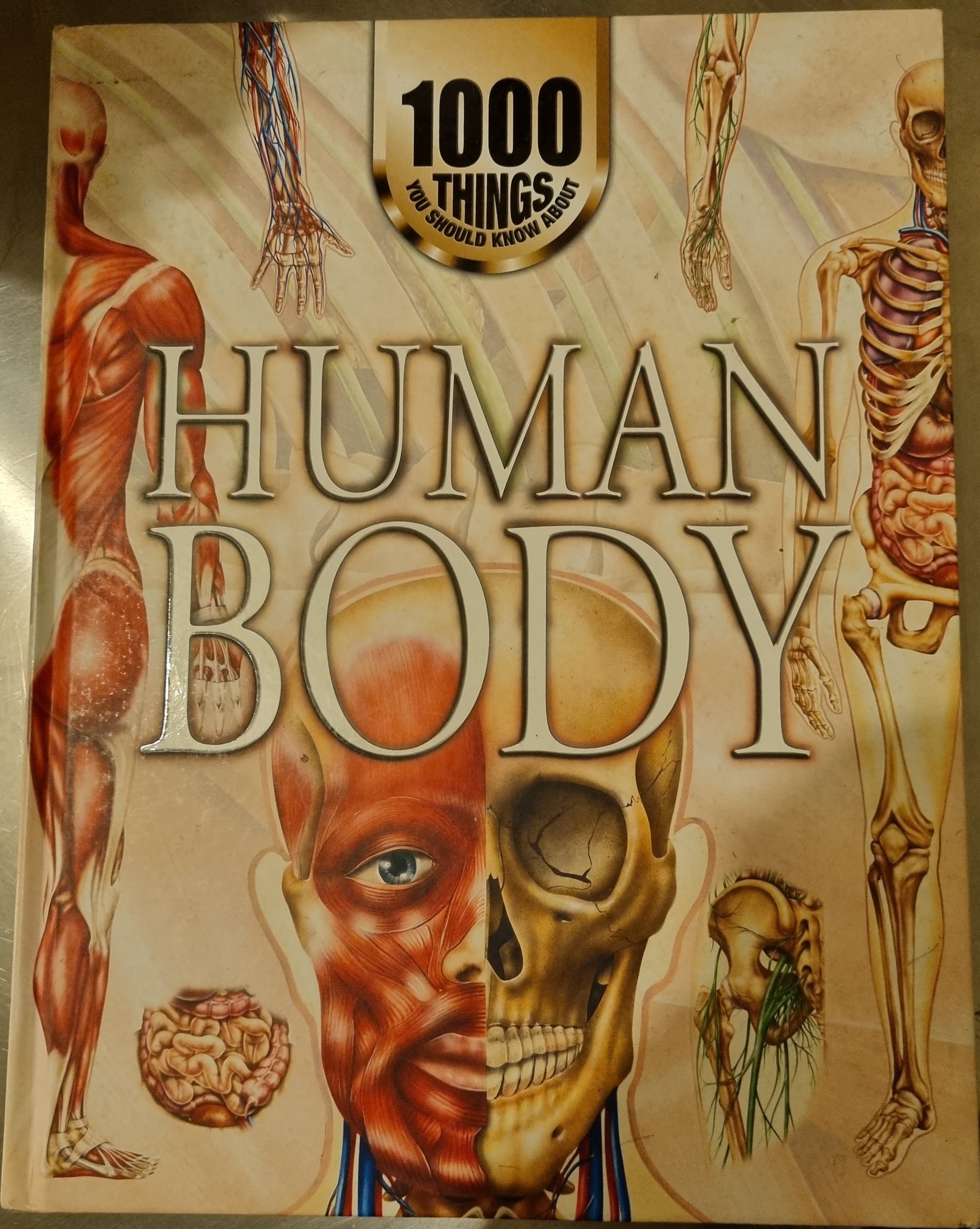 Human Body: 1000 Things - Transghana