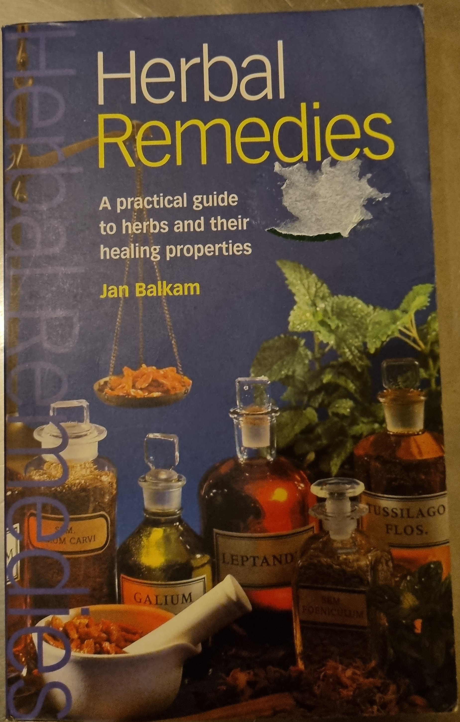 Herbal Remedies: A Practical Guide to Herbs and Their Healing ...