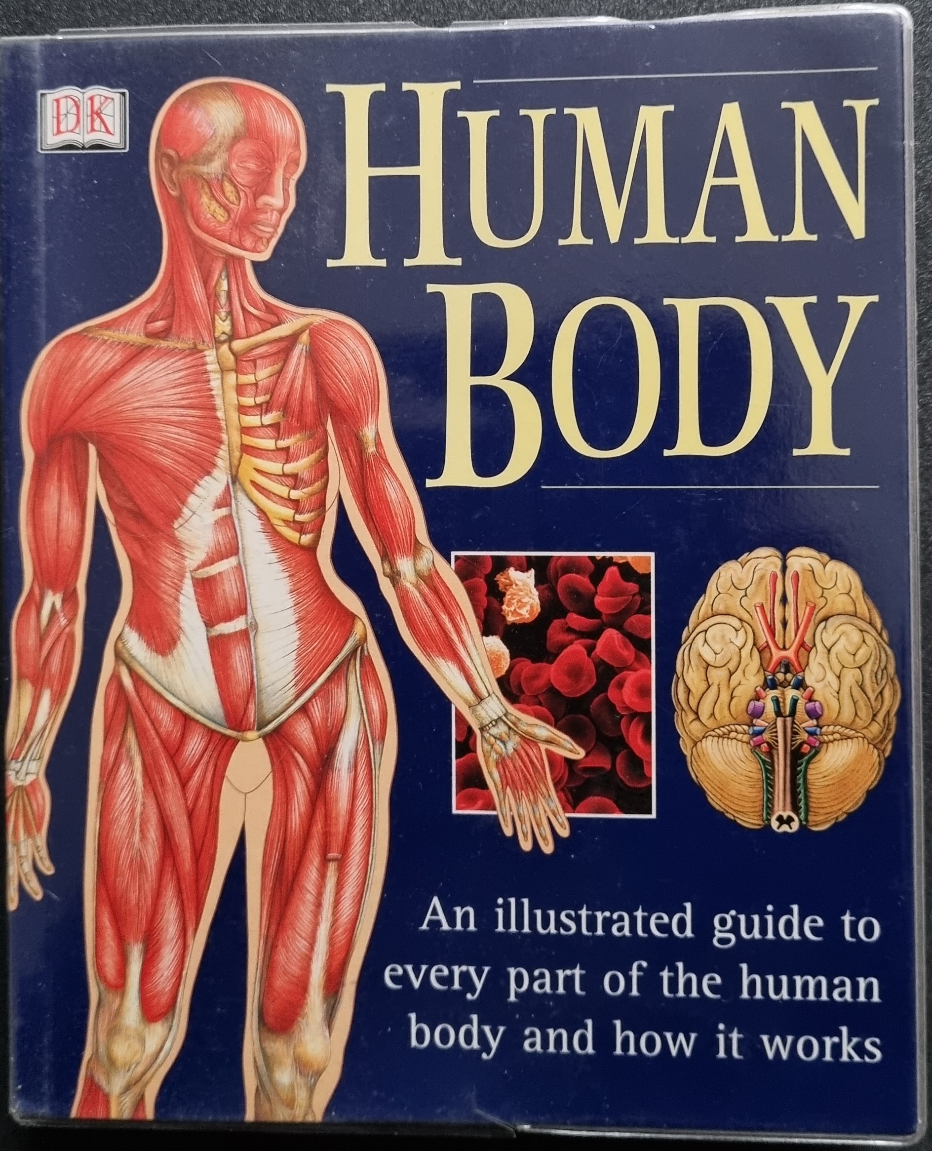 Human Body: An Illustrated Guide to Every Part of the Human Body and ...