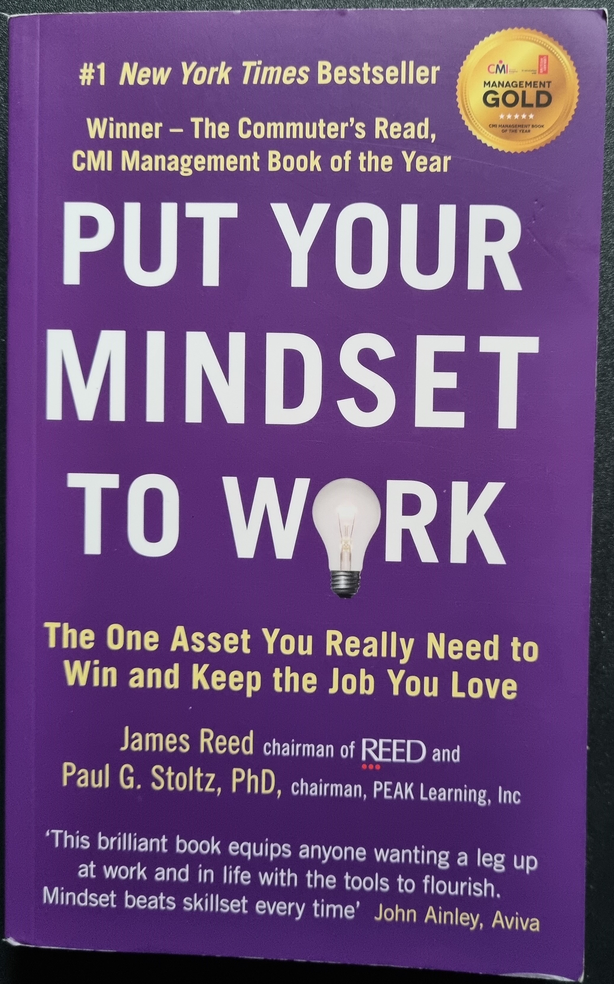 Put Your Mind To Work: The One Asset You Really Need to Win and Keep ...