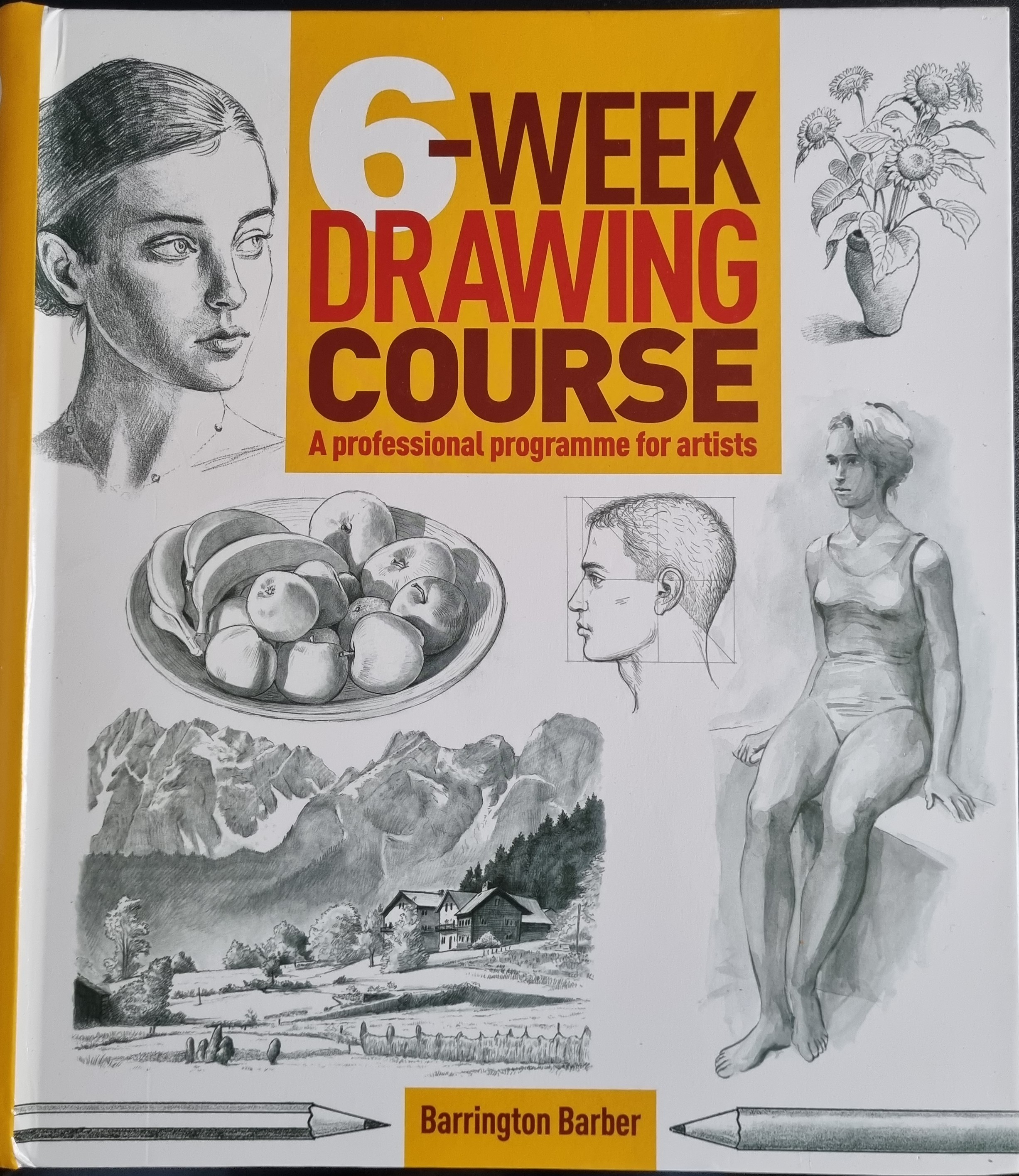 6-Week Drawing Course: A Professional Programme For Artists ...
